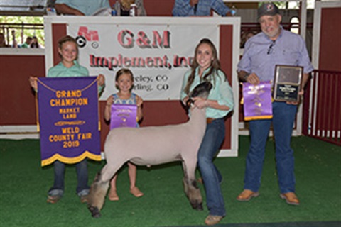 County Fair Junior Livestock Sale Benefits Youth – Weld County