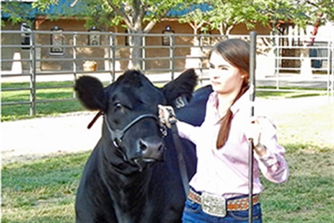 Ag Remains Focus of 102nd Weld County Fair – Weld County