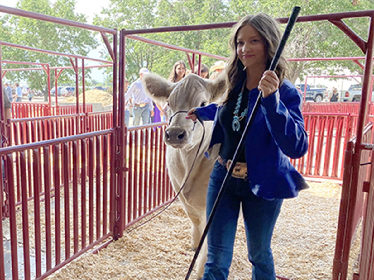 Record-breaking sale at the Weld County Fair – Weld County