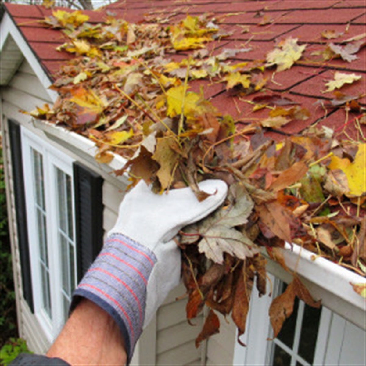 Housing and Home Maintenance – Weld County