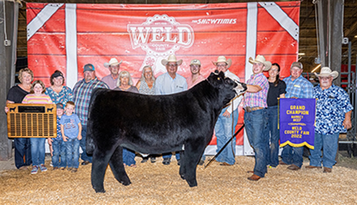 Record breaking sale at the Weld County Fair – Weld County